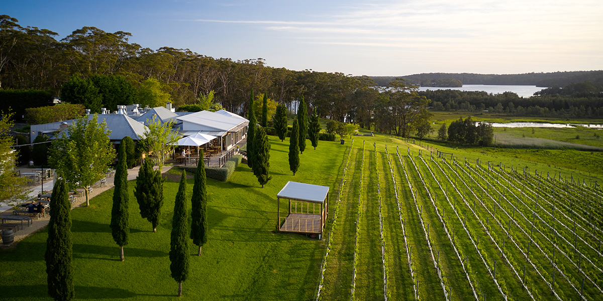 3 Reasons You Don’t Want to Miss Merrick Watts at Cupitt’s This Winter ...